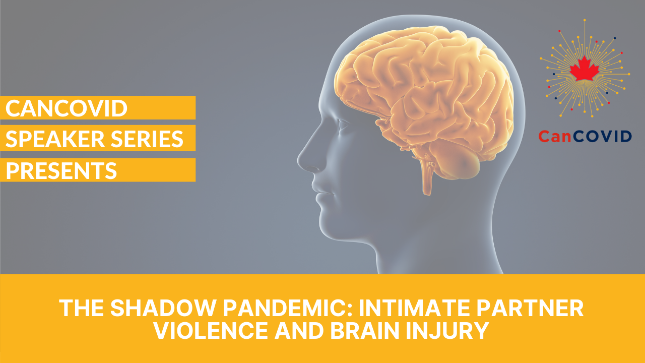 The Shadow Pandemic: Intimate Partner Violence and Brain Injury – CanCOVID
